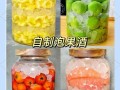 自制果酒什么果酒好喝_适合新手酿的果酒推荐