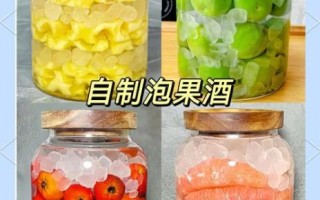 自制果酒什么果酒好喝_适合新手酿的果酒推荐