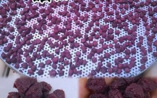 糖腌杨梅怎么做_糖腌杨梅能放多久