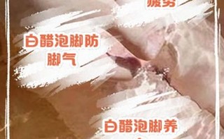 米醋能减肥吗_米醋泡脚的正确方法