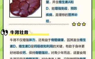 牛肾子的功效与作用_牛肾子怎么吃最补肾