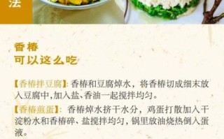 香椿根的功效与作用_香椿根能治什么病