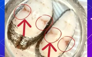 超市冷冻鳕鱼是真的吗_怎么辨别真假鳕鱼