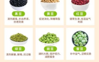 豆类有哪些营养价值_吃豆类有什么好处