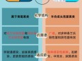阿莫西林和头孢功效一样吗_区别在哪