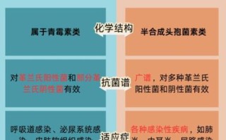 阿莫西林和头孢功效一样吗_区别在哪