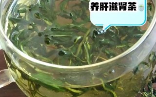 蒲公英泡水喝的功效与作用_长期喝有什么副作用