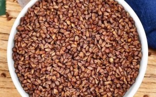 苦荞茶能降血压吗_苦荞茶降血压是真的吗