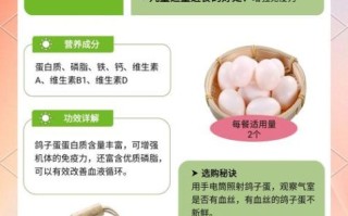 男人吃鸽子蛋的好处_男人吃鸽子蛋能壮阳吗
