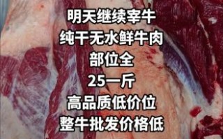 牛肉批发多少钱一斤_批发价受哪些因素影响