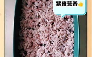 紫米热量高吗_紫米和白米哪个热量高 紫米热量高吗_紫米和白米哪个热量高