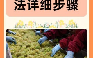 野生葡萄酒的制作方法_野生葡萄酿酒步骤