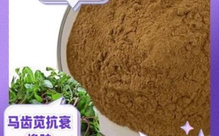 马齿苋提取物对皮肤有什么好处_马齿苋提取物可以长期吃吗