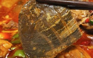 霸王别姬怎么做_霸王别姬菜谱图片步骤