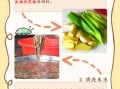 禾虫怎么做好吃_禾虫的家常做法