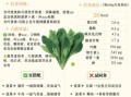 菠菜的营养价值_菠菜的功效与作用