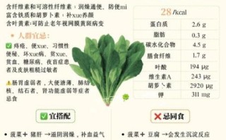 菠菜的营养价值_菠菜的功效与作用
