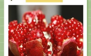 来姨妈吃石榴月经突然没了_石榴止经血是真的吗