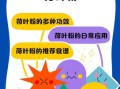 荷叶粉能减肥吗_荷叶粉减肥原理