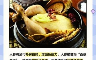 人参炖小鸡排骨怎么做_人参炖小鸡排骨的功效