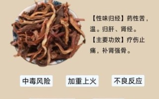 一味骨碎补治腰椎间盘突出_真的有用吗