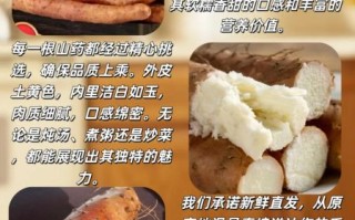 铁棍山药多少钱一斤_正宗温县铁棍山药价格行情