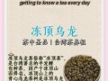 喝什么茶减肥最有效_绿茶还是乌龙茶