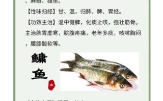 鳙鱼的营养价值及功效_鳙鱼怎么吃最补脑
