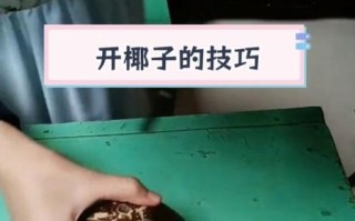 椰子怎么打开_椰子壳怎么开最简单