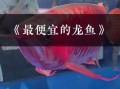 龙头鱼多少钱一斤_龙头鱼价格为什么波动大