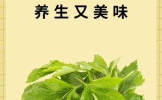 晒干的艾叶能泡水喝吗_艾叶泡水正确方法