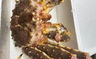 最大帝王蟹有多大_最大帝王蟹多少钱一斤