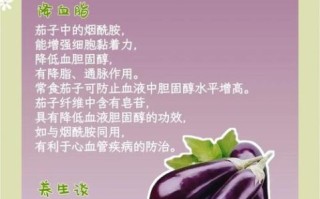 生茄子能生吃吗_生茄子的功效与作用