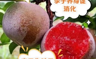 李子果的功效与作用_李子果能减肥吗