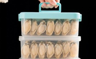 牡蛎干怎么泡发_牡蛎干泡发多久