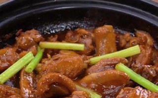 正宗焖鸭的做法及配料_焖鸭怎么做好吃