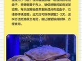 螃蟹怎么保存_活螃蟹能放冰箱吗