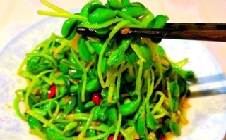 豆苗怎么做好吃_豆苗炒什么最香