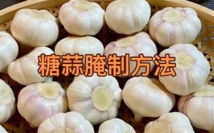 糖蒜怎么做最正宗_糖蒜的做法视频