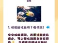 鱼肉怎么做给宝宝吃_鱼肉过敏怎么办