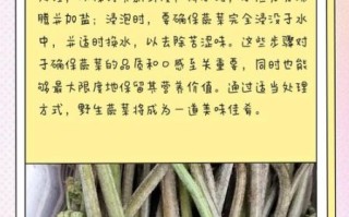野生蕨菜怎么处理才能吃_焯水多久才安全