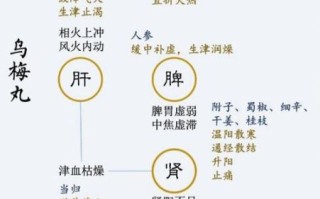 乌梅丸十种治疗方案_乌梅丸适合哪些症状
