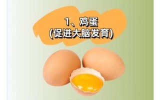 补脑吃什么最好_哪些食物最补脑 补脑吃什么最好_哪些食物最补脑