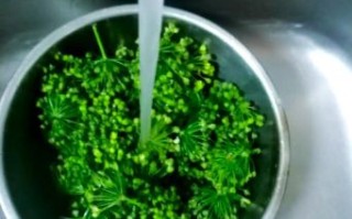 在家如何腌制韭菜花_韭菜花腌制多久能吃