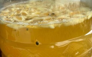 水果酵素的作用与功效及副作用_水果酵素能长期吃吗