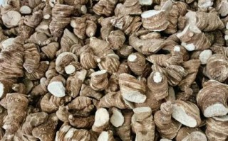 重楼多少钱一斤_重楼价格行情