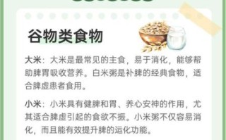 脾胃虚弱吃什么调理_脾胃虚弱怎么调理最快