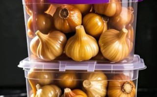 干大蒜怎么腌制好吃_干大蒜腌制多久可以吃