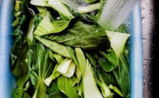 小炒青菜怎么炒才脆_小炒青菜用大火还是小火