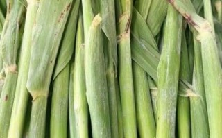 高粱乌米有什么功效_高粱乌米怎么吃效果最好